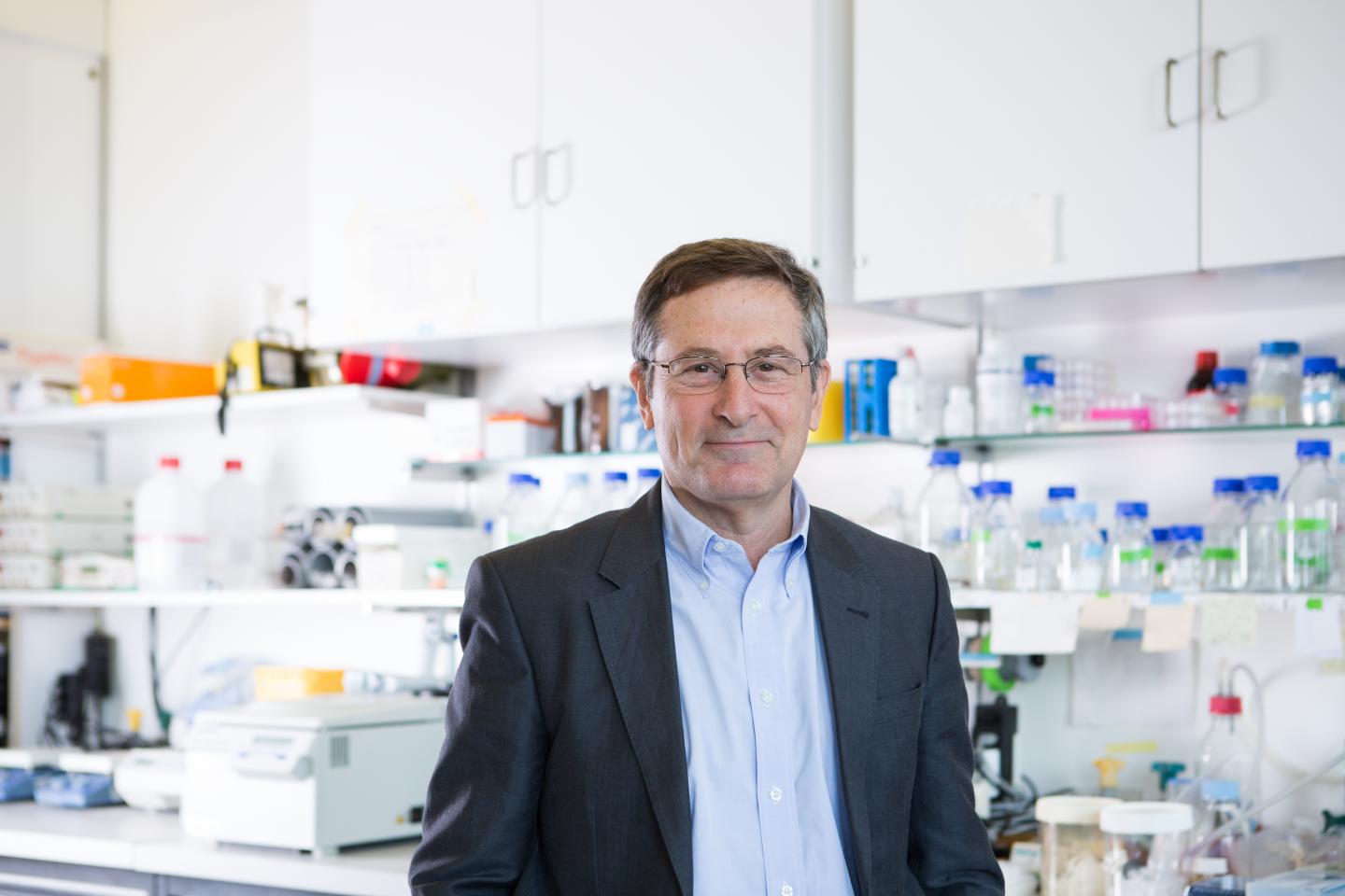 Michael Hall named 2020 Sjöberg Prize recipie | EurekAlert!