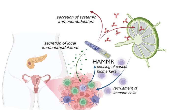 0925_THOR-HAMMR-fig-lg [IMAGE] | EurekAlert! Science News Releases