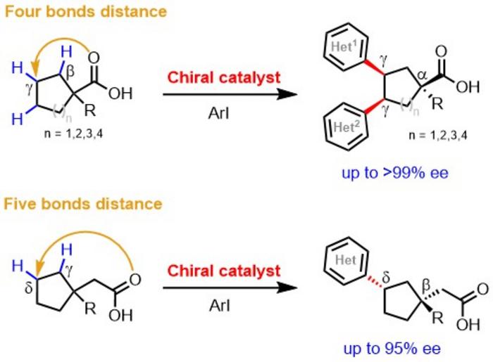 Making gamma chiral centers on [IMAGE] | EurekAlert! Science News Releases