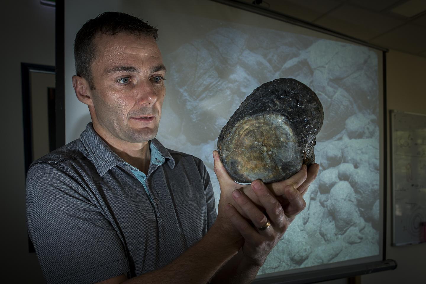 EurekAlert! Science News Releases