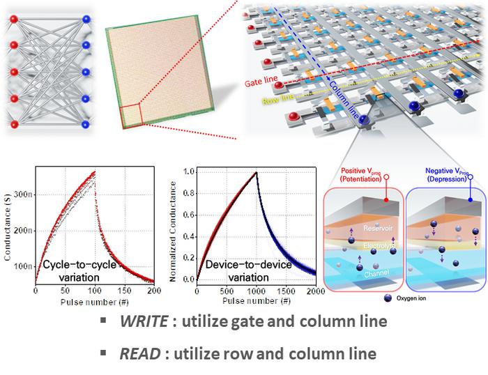 Cross-point array structure an [IMAGE] | EurekAlert! Science News Releases