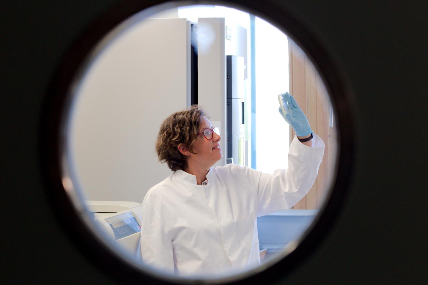 Systems biology of antibiotics | EurekAlert!