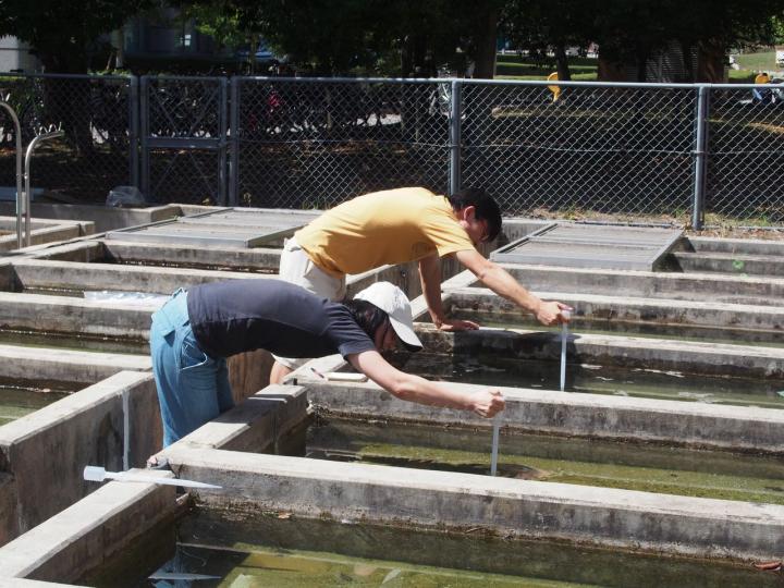 Sampling Environmental DNA [IMAGE] | EurekAlert! Science News Releases