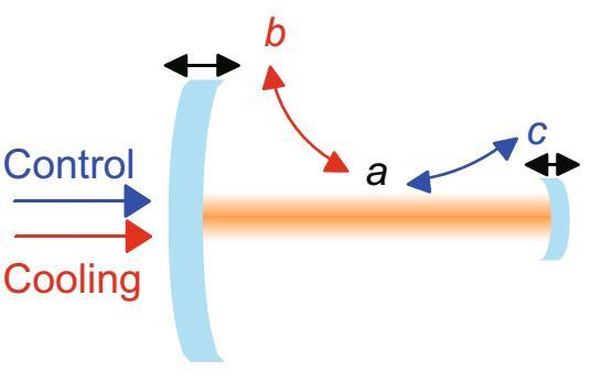Figure of Optomechanical Syste [IMAGE] | EurekAlert! Science News Releases