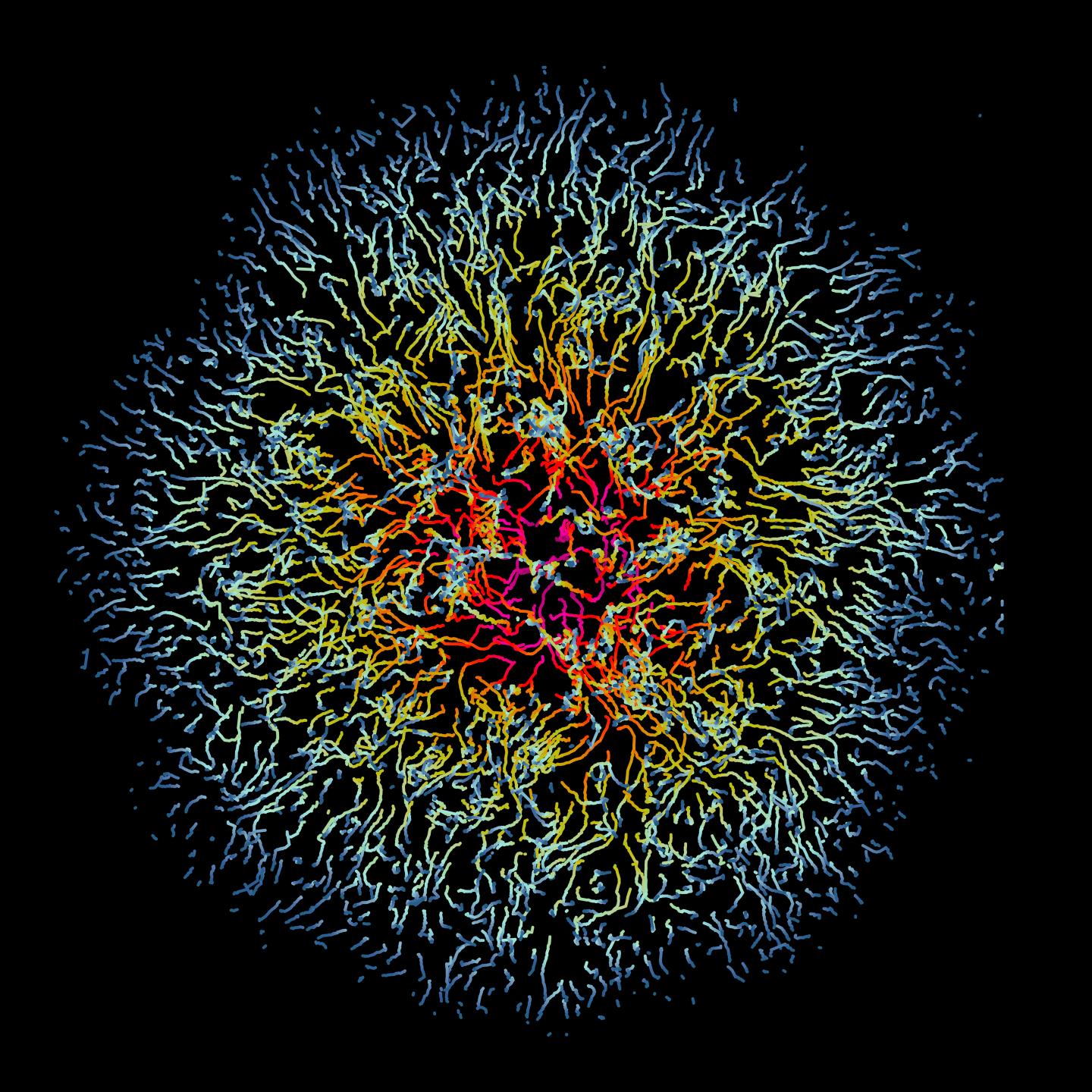 Tracks of Vaccinia Virus-Infec [IMAGE] | EurekAlert! Science News Releases