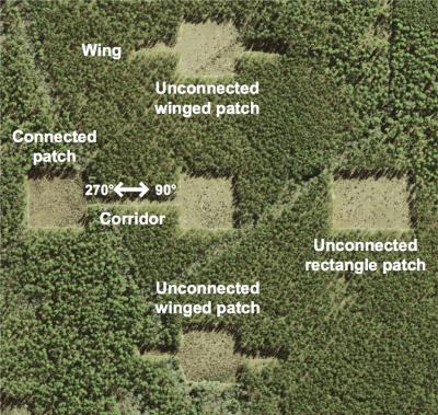 Aerial Photo: Forest Patches a [IMAGE] | EurekAlert! Science News Releases