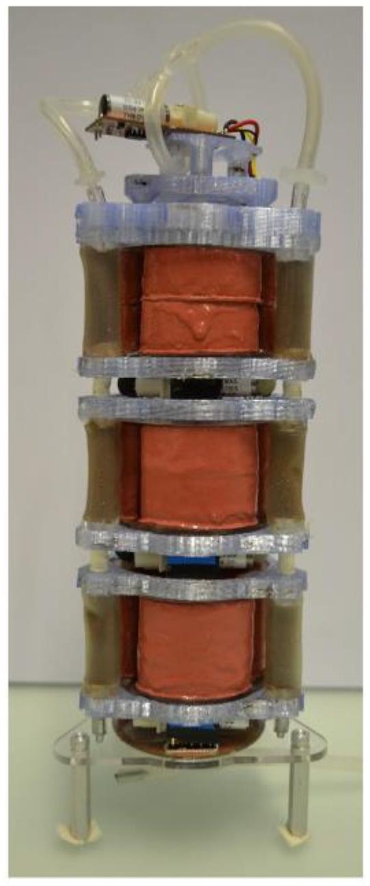 Plug-and-Play Robot Parts Improve Soft Roboti | EurekAlert!