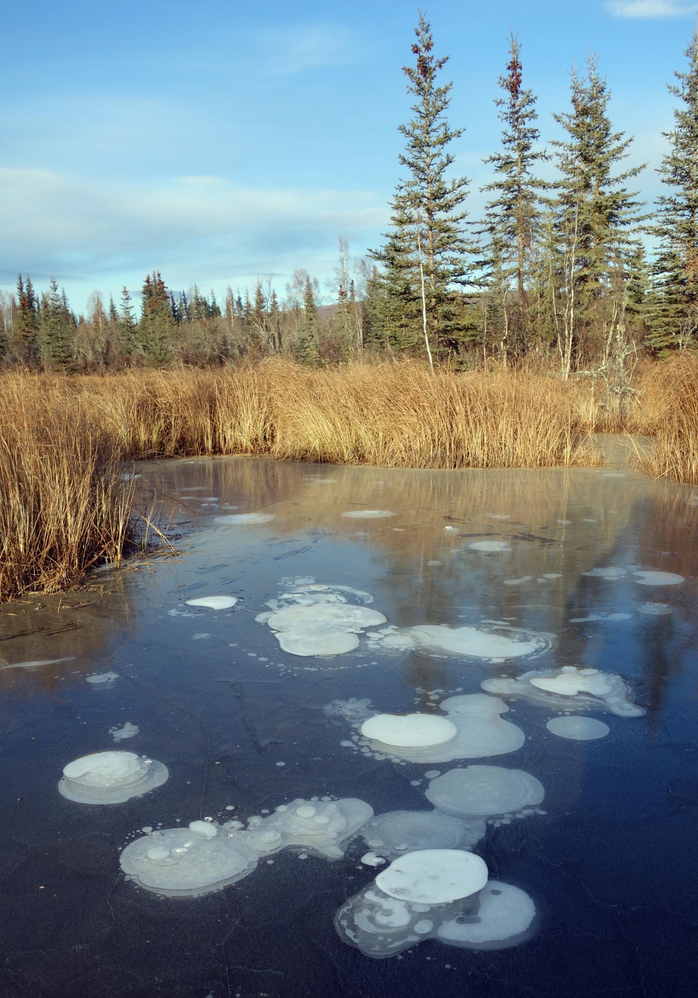 'Abrupt thaw' of permafrost beneath lakes cou | EurekAlert!