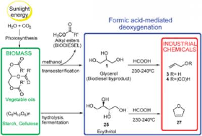 Biomass Deoxygenation [IMAGE] | EurekAlert! Science News Releases