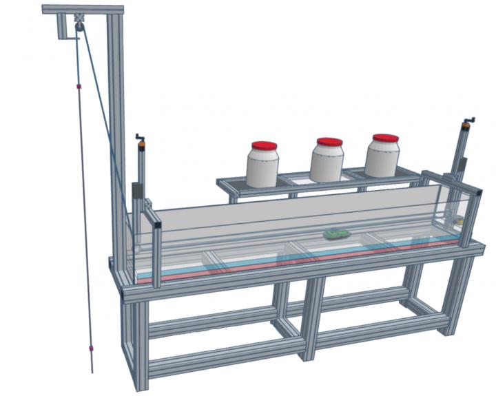 Experiment [IMAGE] | EurekAlert! Science News Releases