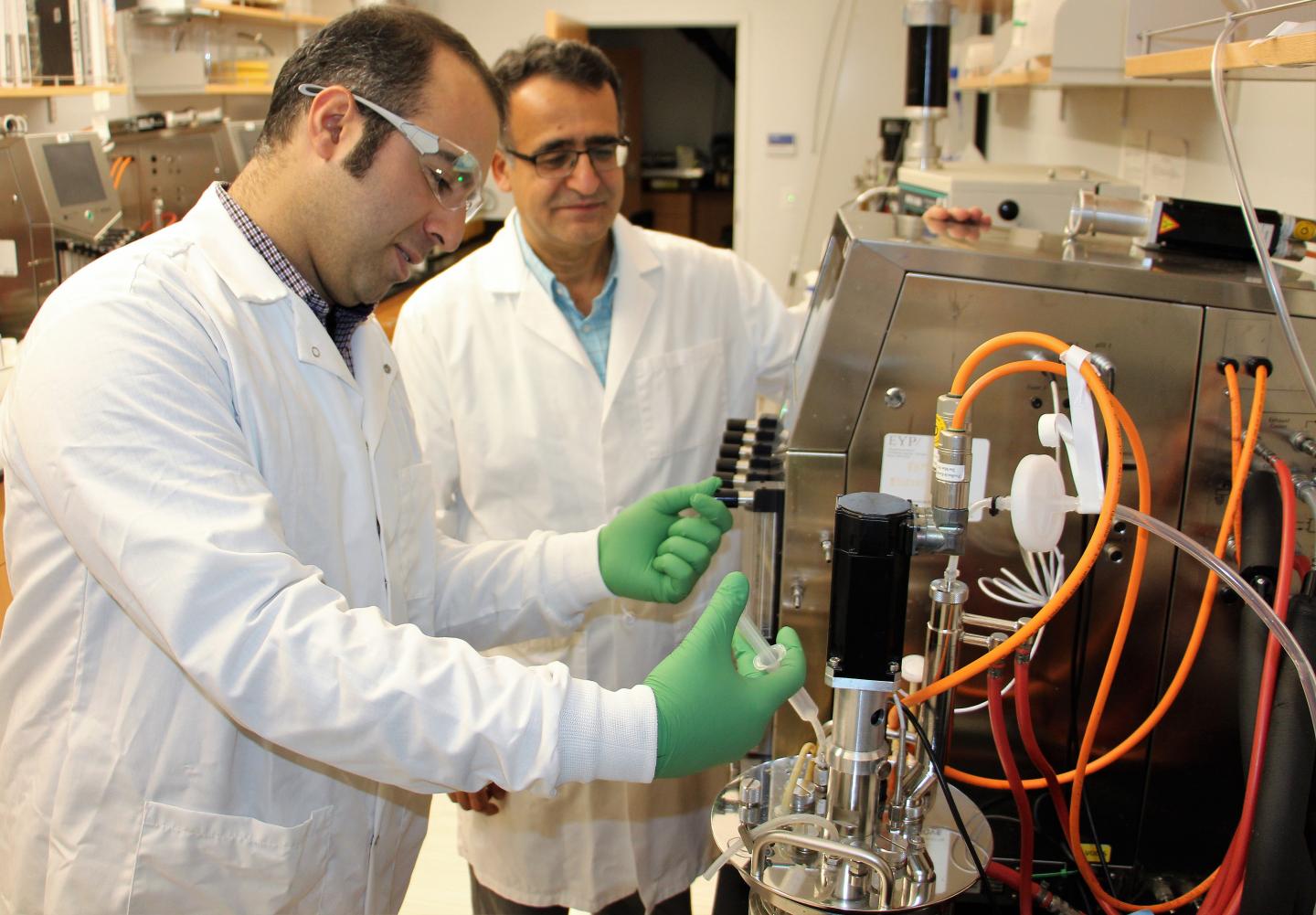 Making Biofilm [IMAGE] | EurekAlert! Science News Releases