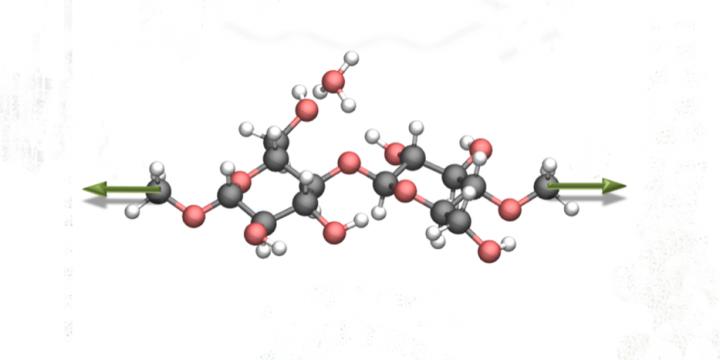 Cellulose Molecule [IMAGE] | EurekAlert! Science News Releases