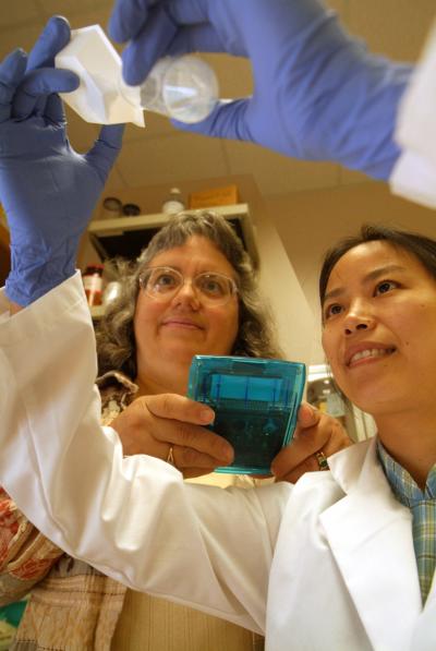 Natural Signal Holds Promise f [IMAGE] | EurekAlert! Science News Releases