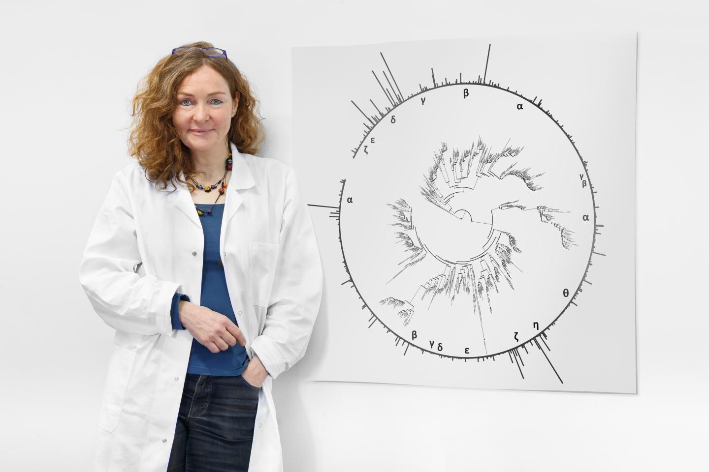 Christa Schleper, University o [IMAGE] | EurekAlert! Science News Releases