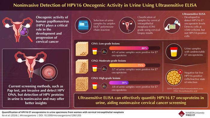 Detection of HPV16 E7 oncoprot [IMAGE] | EurekAlert! Science News Releases