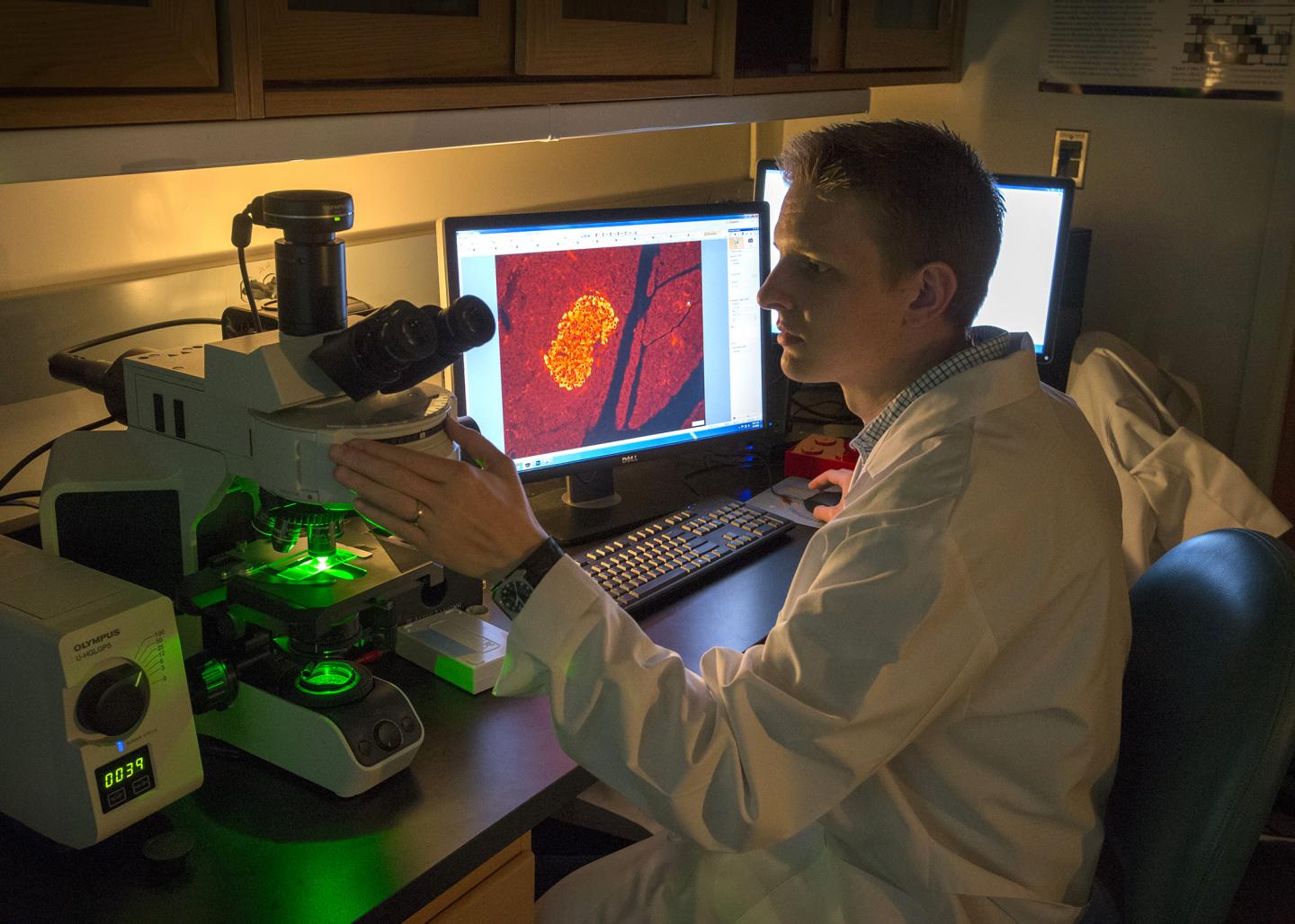 Diabetic Student Research [IMAGE] | EurekAlert! Science News Releases