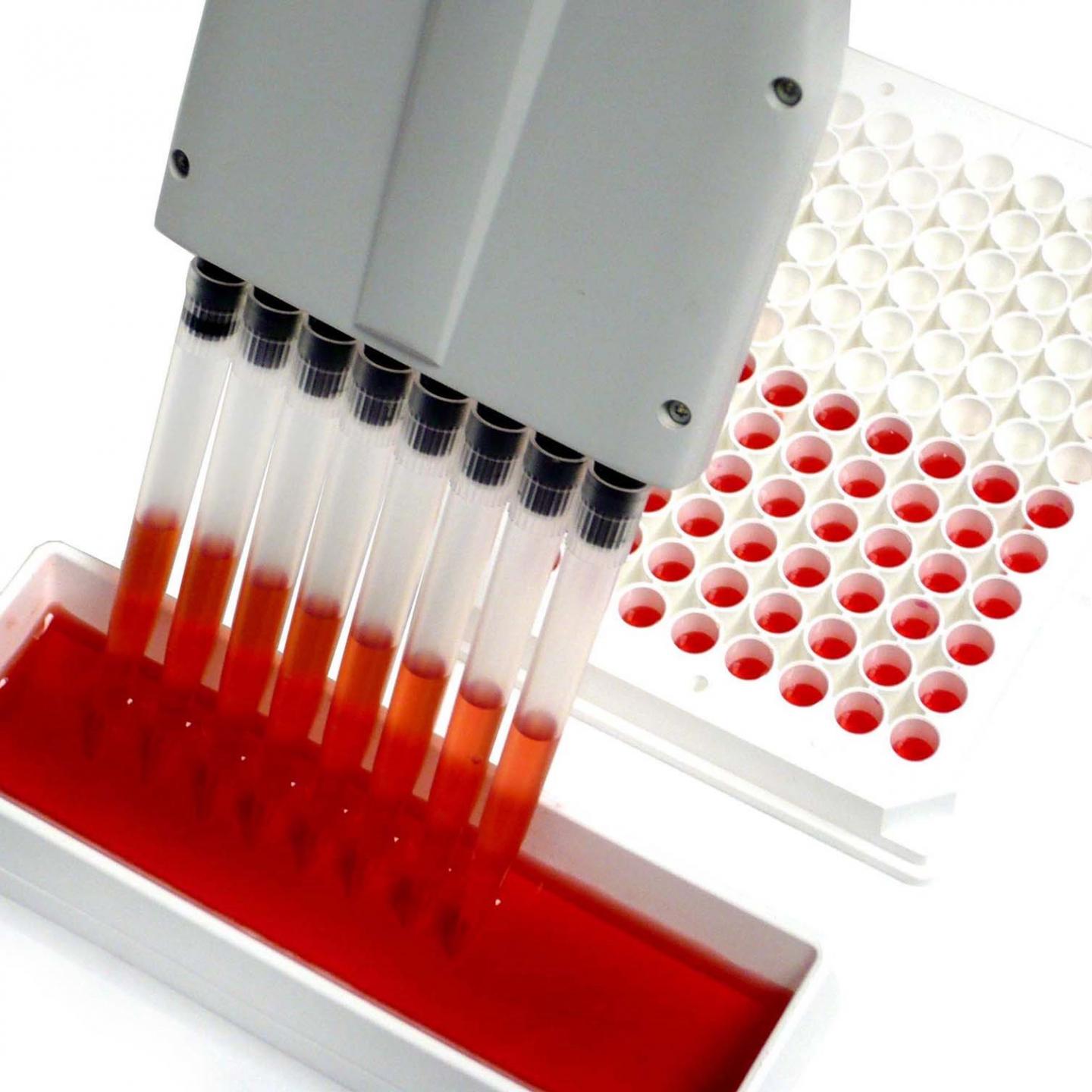 Figure 1 [IMAGE] | EurekAlert! Science News Releases