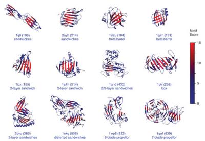 Beta Sheets [IMAGE] | EurekAlert! Science News Releases