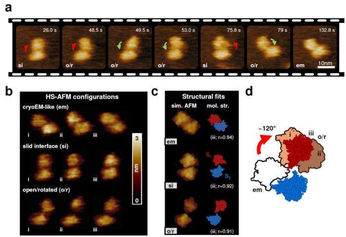 Figure 1 [IMAGE] | EurekAlert! Science News Releases