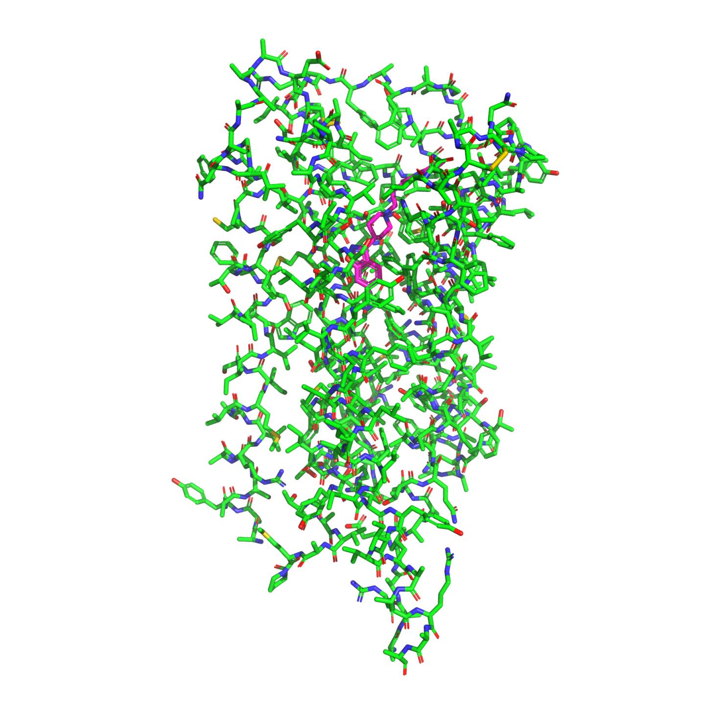 Dopamine 2 Receptor [IMAGE] | EurekAlert! Science News Releases