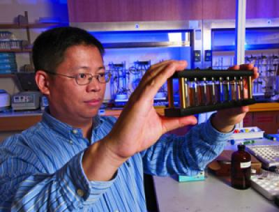 Younan Xia, Washington Univers [IMAGE] | EurekAlert! Science News Releases