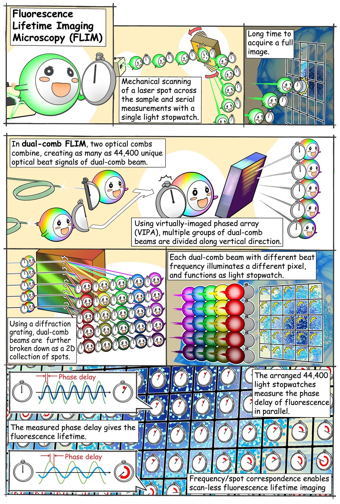 Principle of operation [IMAGE] | EurekAlert! Science News Releases