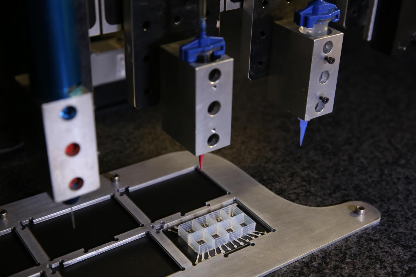 3-D Printed Heart-On-A-Chip Pr [IMAGE] | EurekAlert! Science News Releases