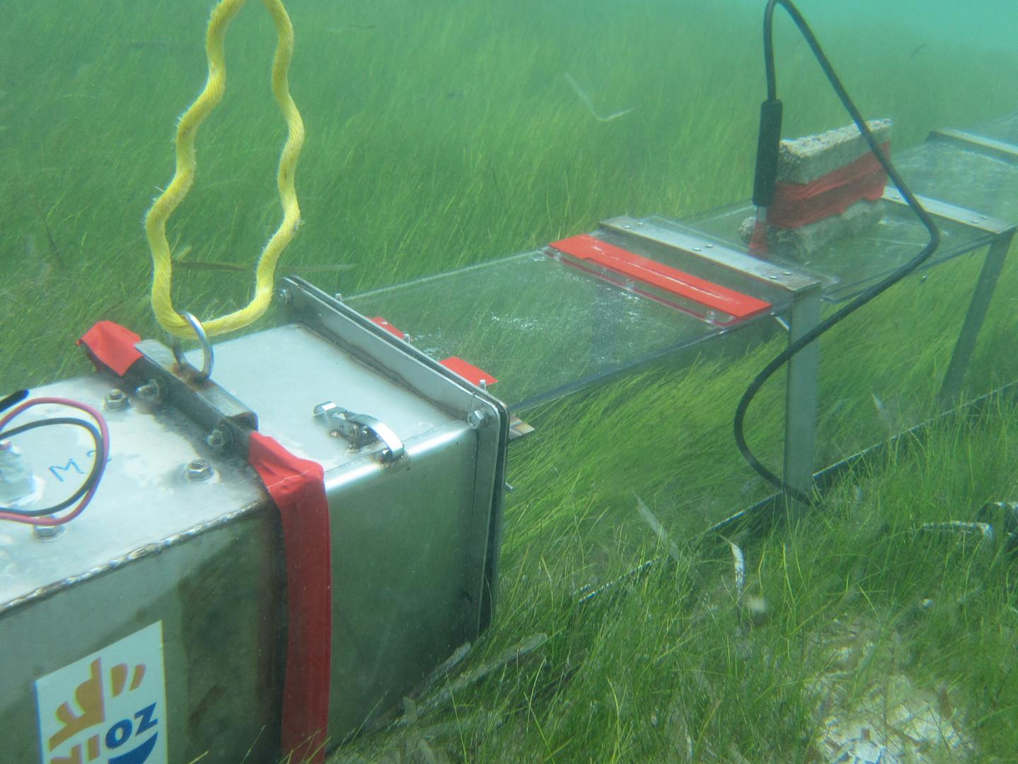 Portable flume [IMAGE] | EurekAlert! Science News Releases