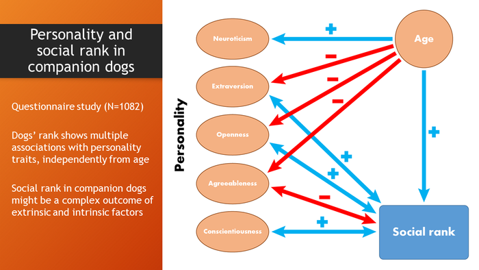 Relationship between dog personality and hier | EurekAlert!