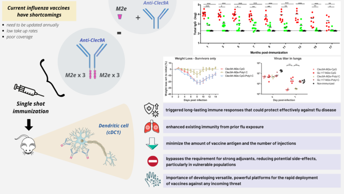Graphical Abstract [IMAGE] | EurekAlert! Science News Releases