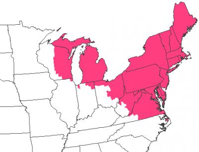 Gypsy Moth Management Made Mor [IMAGE] | EurekAlert! Science News Releases