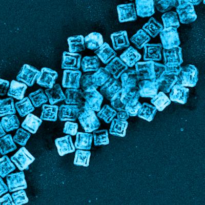 Self-Assembled, Complex Nano-Objects in 3-D ( | EurekAlert!
