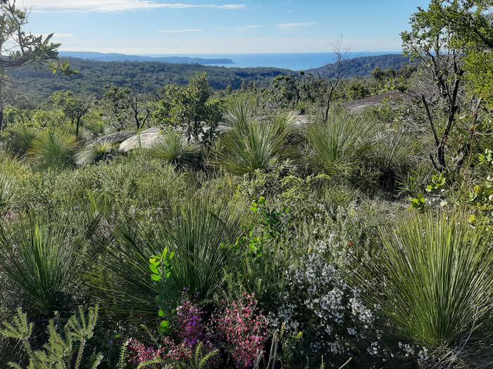 Australian ecosystem [IMAGE] | EurekAlert! Science News Releases