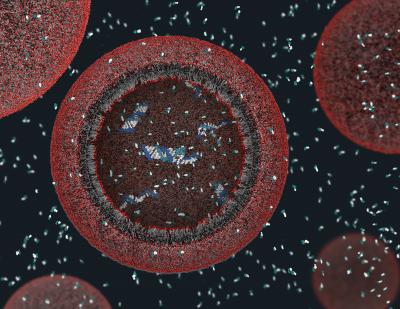 Protocell [IMAGE] | EurekAlert! Science News Releases