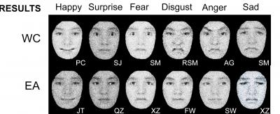 Perception of facial expressions differs acro | EurekAlert!