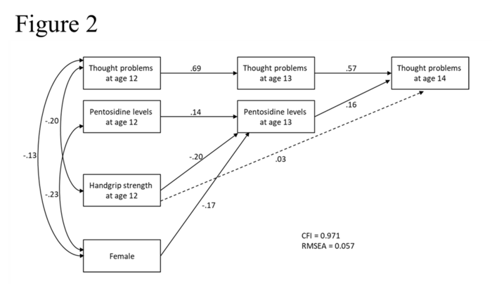 Path diagram describing the in [IMAGE] | EurekAlert! Science News Releases