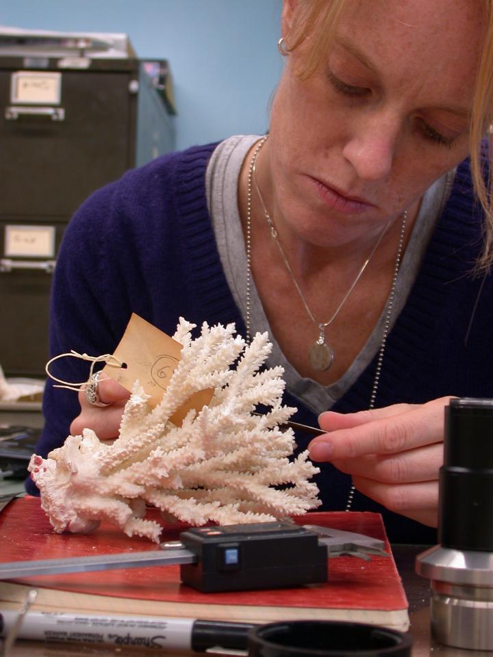 Dr. Nicole Fogarty with Hybrid [IMAGE] | EurekAlert! Science News Releases