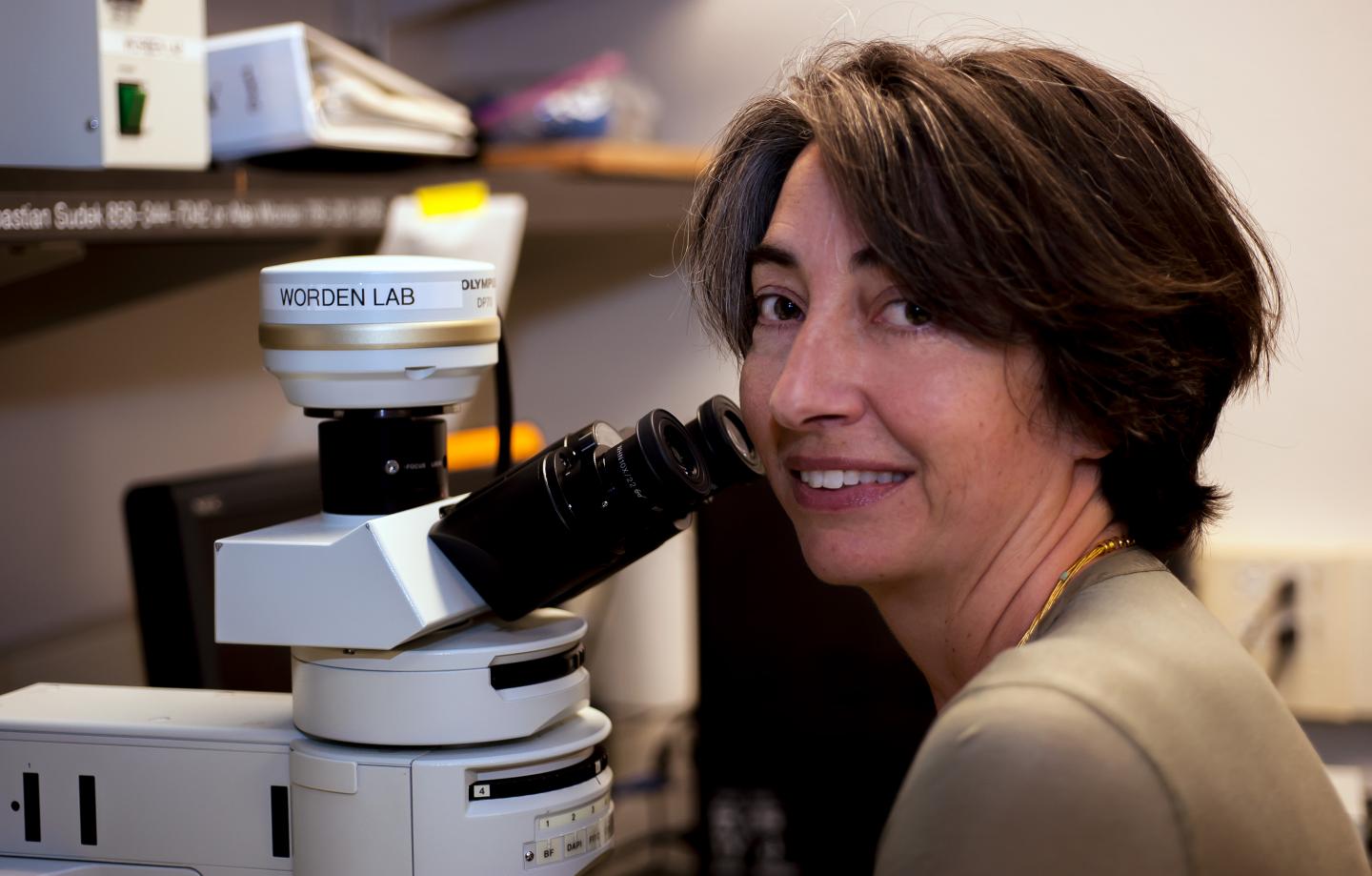 Alexandra Z. Worden, Helmholtz [IMAGE] | EurekAlert! Science News Releases