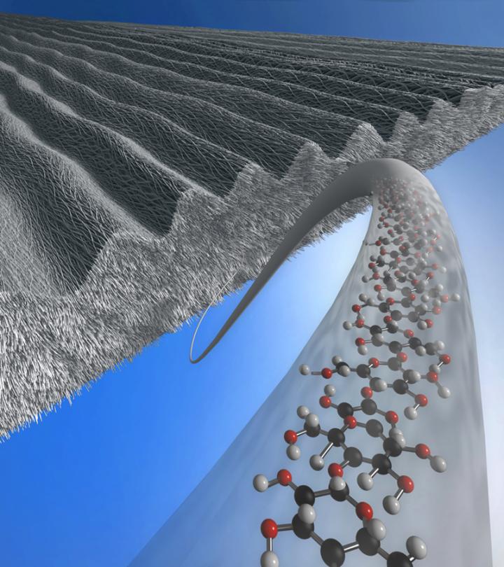 Bacterial Cellulose with Micro [IMAGE] | EurekAlert! Science News Releases