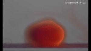 colloidal suspension [IMAGE] | EurekAlert! Science News Releases