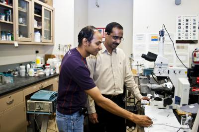 Pushpendra Singh, New Jersey I [IMAGE] | EurekAlert! Science News Releases