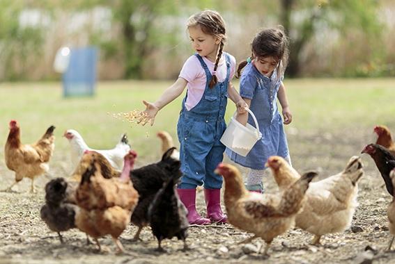 Children on Farms [IMAGE] | EurekAlert! Science News Releases