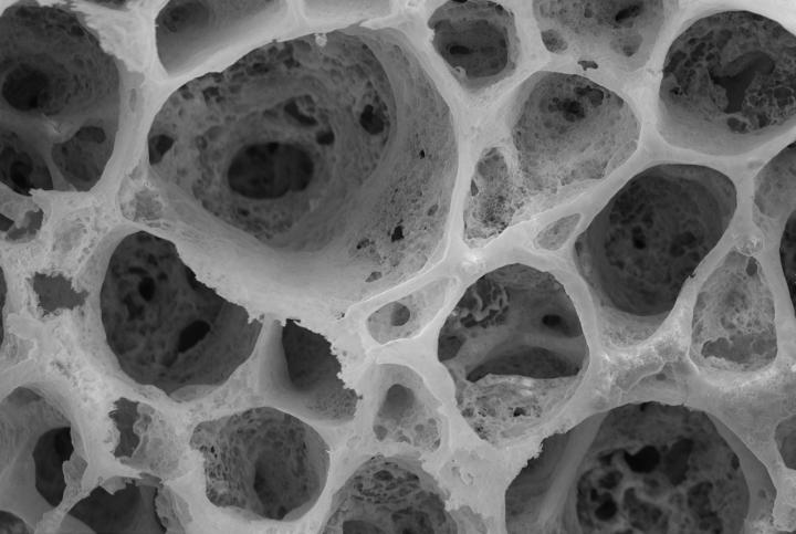 Fuel from the Fire | EurekAlert!