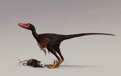 Bambiraptor and Small Mammal [IMAGE] | EurekAlert! Science News Releases