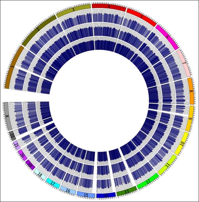 Colon Cancer Epigenome [IMAGE] | EurekAlert! Science News Releases