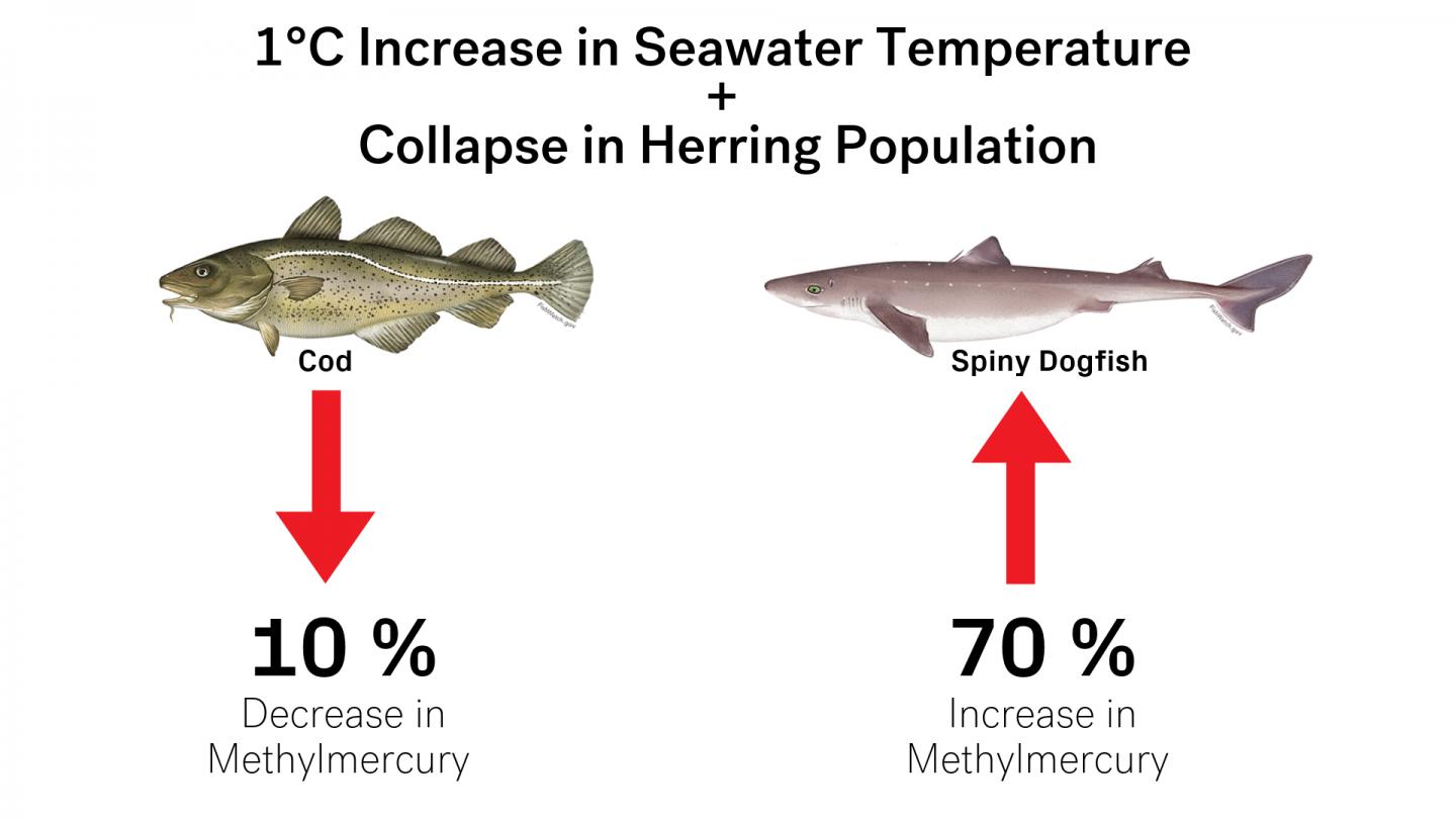 Temperature Increase and Popul [IMAGE] | EurekAlert! Science News Releases