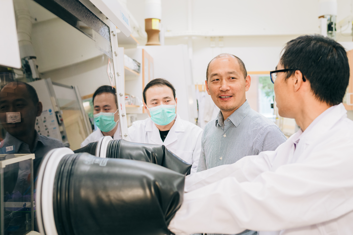 Tiankai Zhang, Feng Gao and Fe [IMAGE] | EurekAlert! Science News Releases