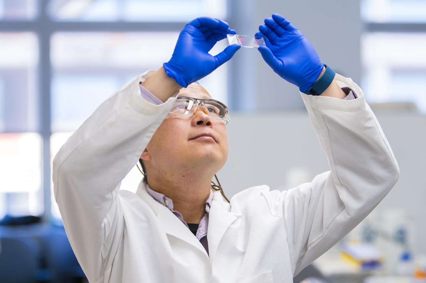 Ren Xu, Center for Cancer and [IMAGE] | EurekAlert! Science News Releases