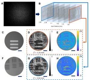Quantitative phase imaging through an ultra-t | EurekAlert!