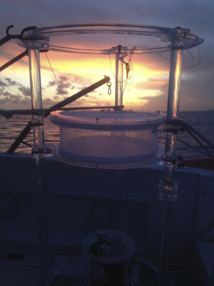 DISC Chamber [IMAGE] | EurekAlert! Science News Releases